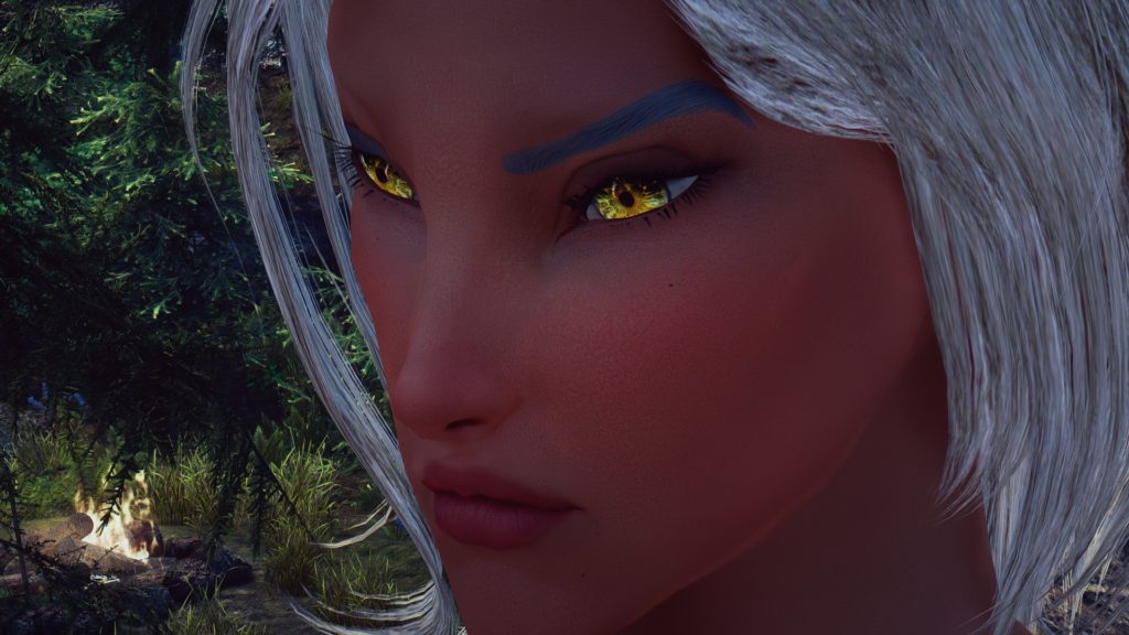 Viconia De Vir 2: Face and Skin – Syls Amusements